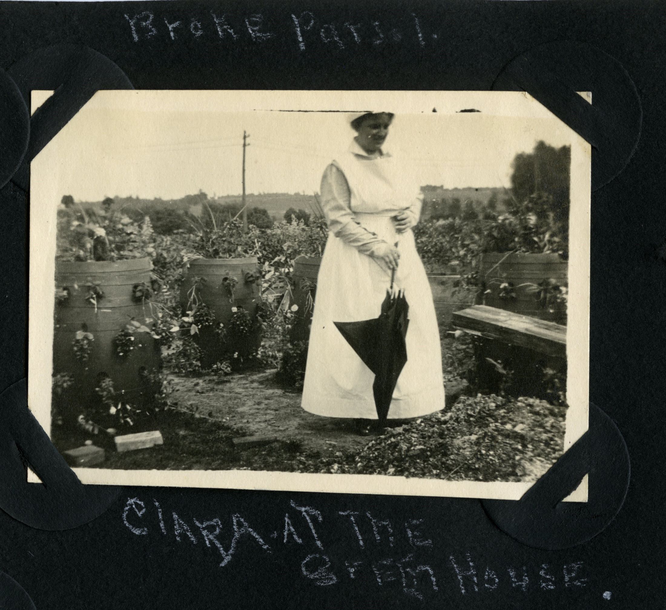 Picnicking at the State Hospital: Treatment and Tourism at the Traverse City State Hospital ...